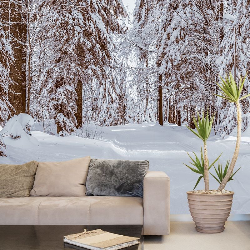 Photography Environment Friendly Mural Wallpaper Beautiful Forest ...